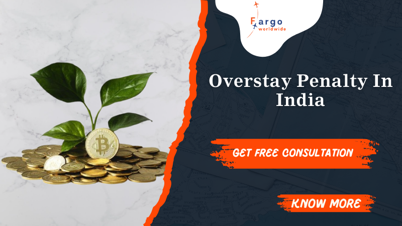 Exit Visa Permit | Overstay on Indian Visa | Newborn in India