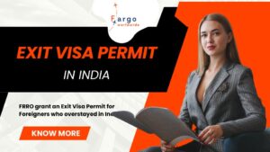 Exit Visa Permit | Overstay on Indian Visa | Newborn in India